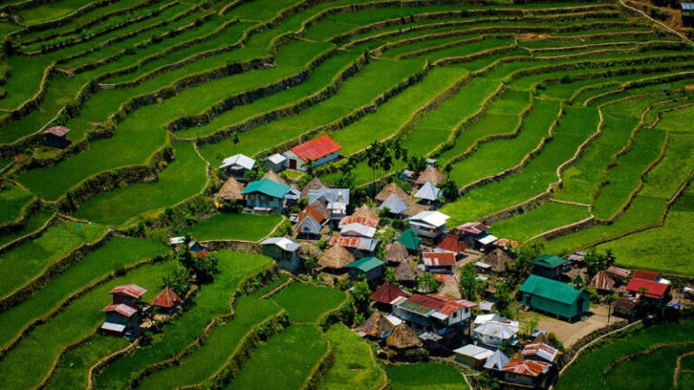 Community-Based Drug Rehabilitation in the Philippines Proving ...